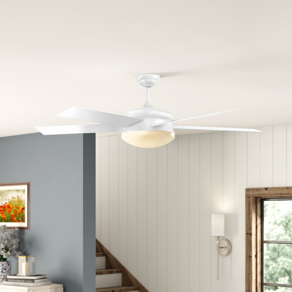 Hokku Designs Alizabeth 60'' Ceiling Fan with LED Lights & Reviews ...