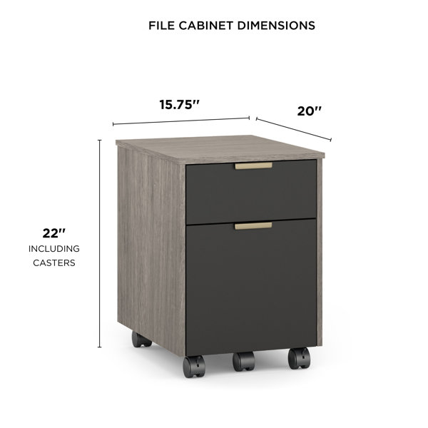 Willa Arlo™ Interiors Vickers Home Office File Cabinet & Reviews | Wayfair