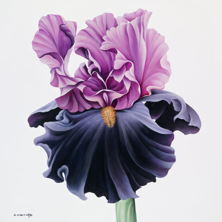 Gallery Mavruk " Fi Iris 01 " by Hulis Mavruk Painting Print | Wayfair
