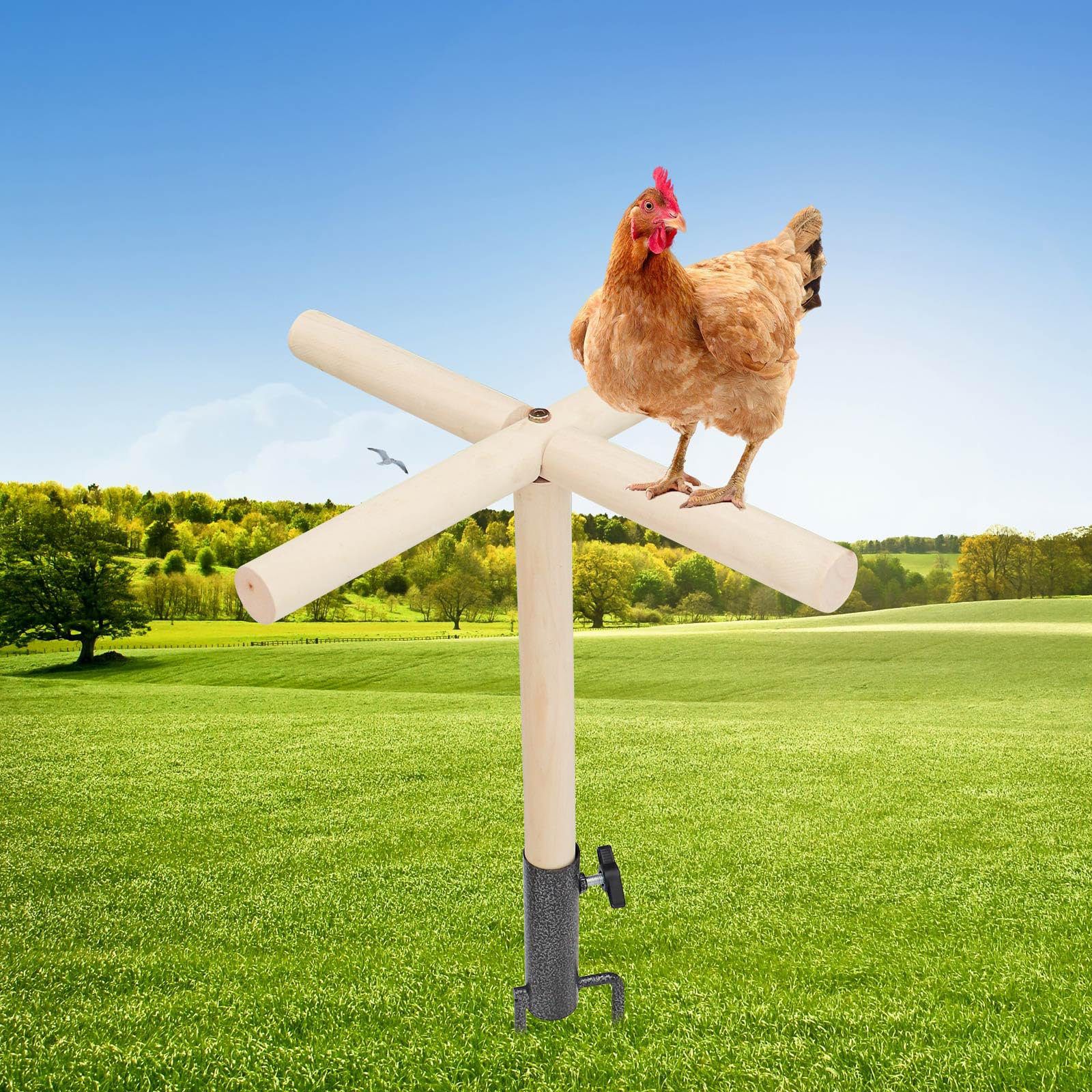 Tucker Murphy Pet™ Chicken Perch Toys For Chicken Coop, Wooden Chicken ...