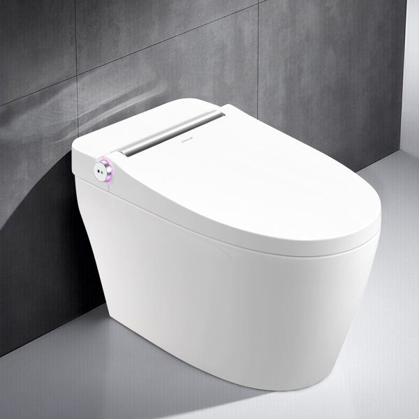 Cosvalve 1.28 GPF (Water Efficient) Elongated One-Piece Toilet (Seat ...