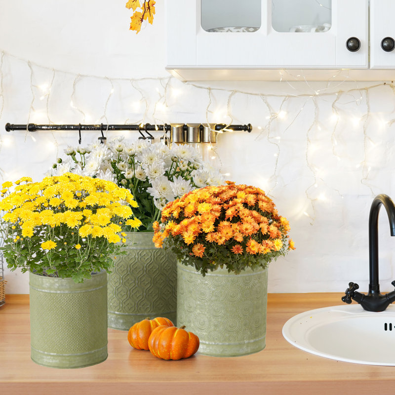 Bungalow Rose 3-Piece Metal Cachepot Set | Wayfair