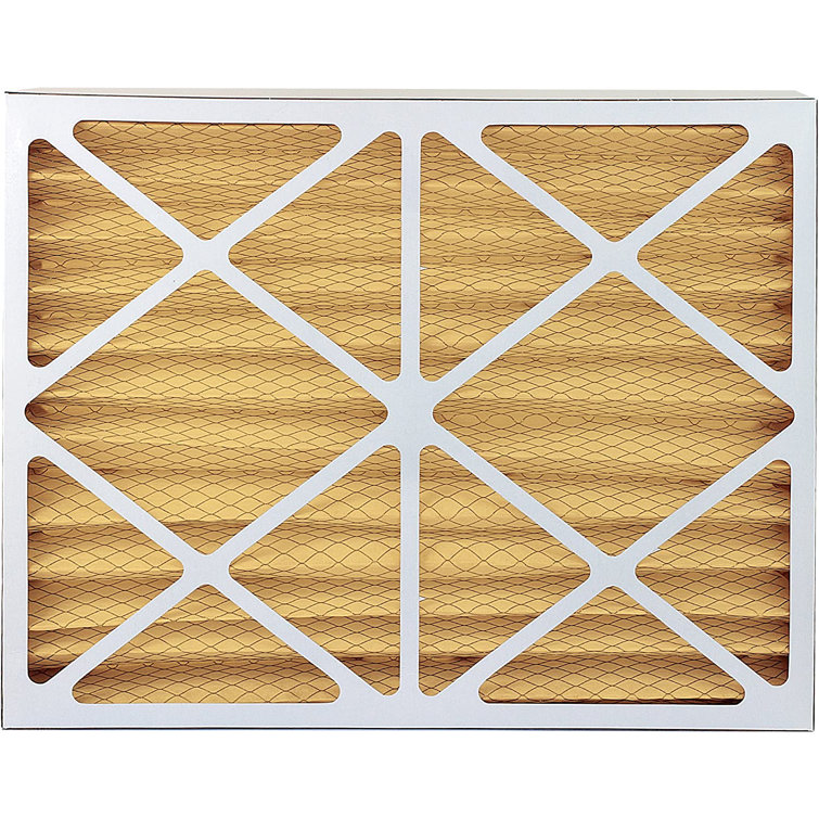 Filterbuy Air Conditioner Filter - Wayfair Canada