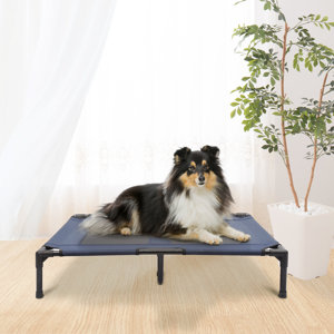 Tucker Murphy Pet™ Bundy Elevated Cot & Reviews | Wayfair
