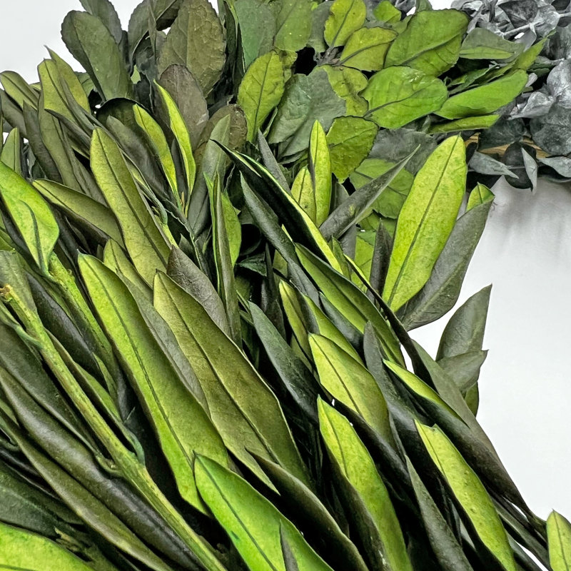 The Holiday Aisle® 21" Preserved Spring Leaf Wreath | Joss & Main