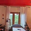 Willa Arlo™ Interiors Culbert Velvet Solid Wood Panel Headboard ...