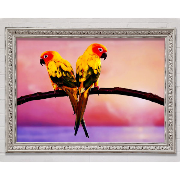 Bright Star Twin Parrots - Single Picture Frame Art Prints | Wayfair.co.uk