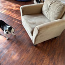 Winston Porter Ibiza 33.9" Round Arm Tufted Armchair & Reviews | Wayfair