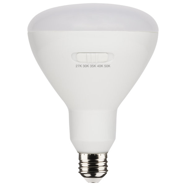 Satco 13 Watt White LED Bulb | Perigold