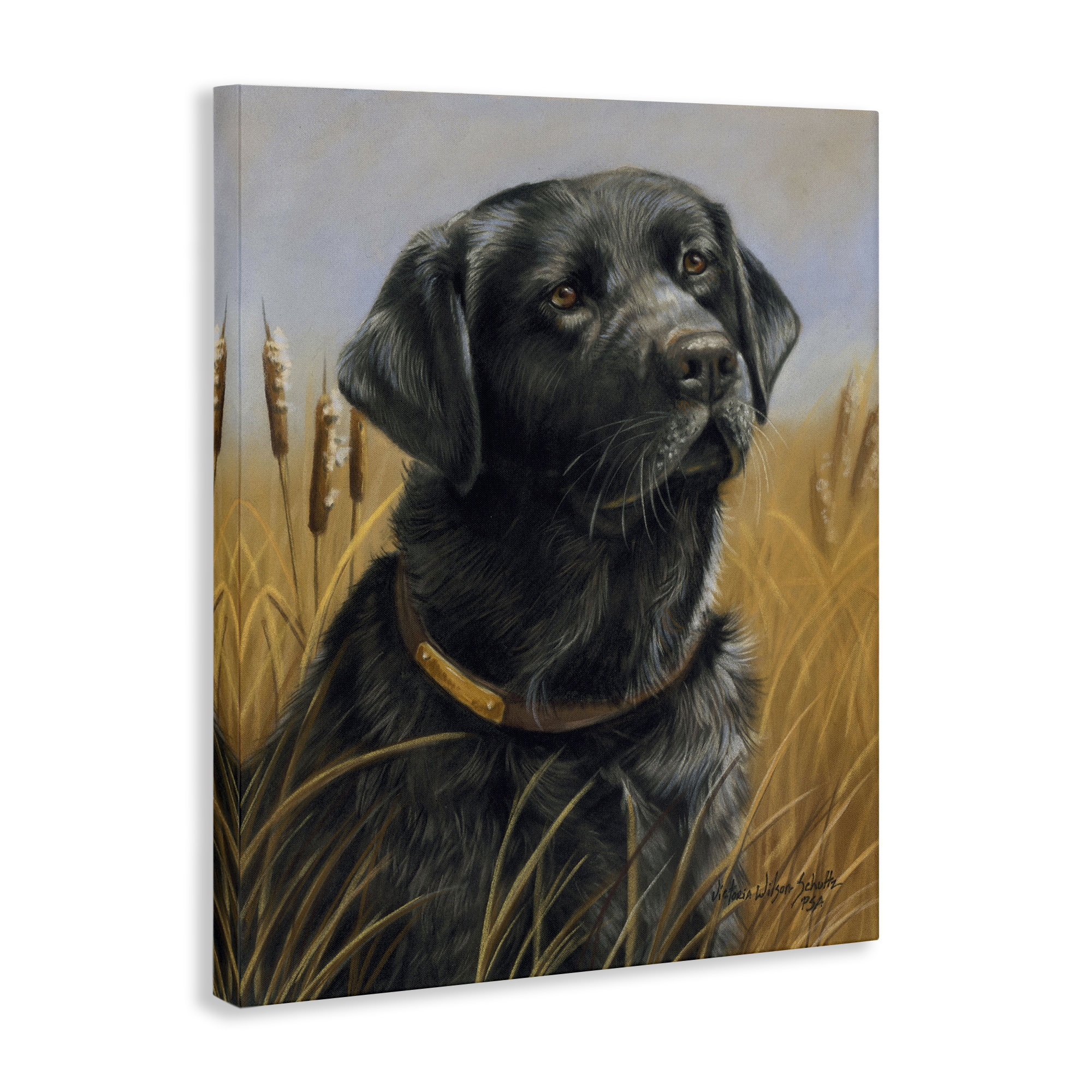 Red Barrel Studio® Black Lab in Nature Canvas Wall Art by Victoria ...