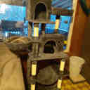 Archie & Oscar™ Timmins 78.3" Multi-Level Cat Tree with Cat Scratching ...