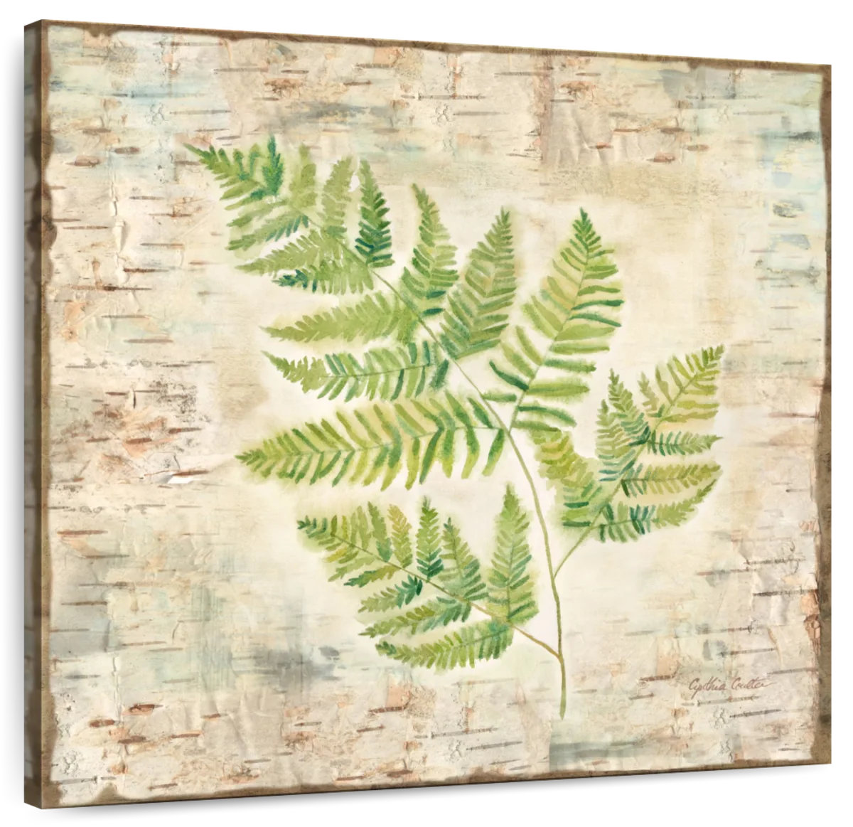 Lark Manor™ Harnek Birch Bark Ferns II | Wayfair