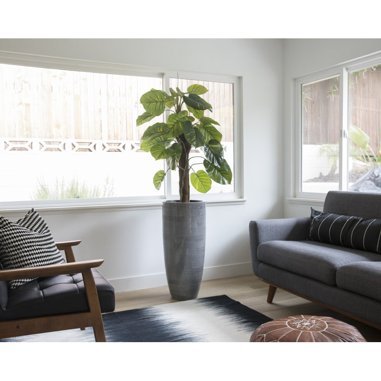 The Twillery Co.® Panama Foliage Plant in Resin Planter & Reviews | Wayfair