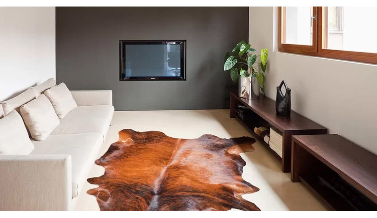 16 Modern Rustic Living Room Ideas | Wayfair