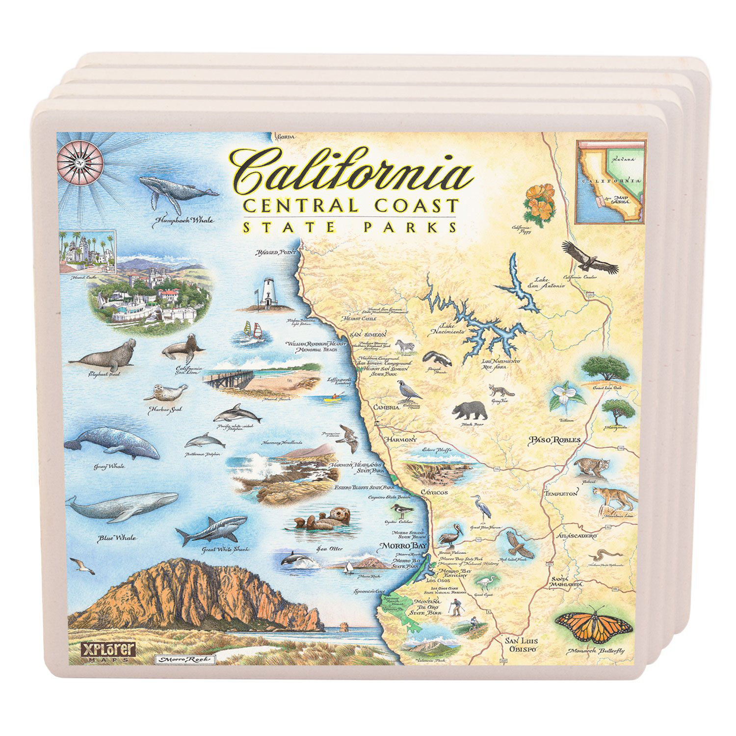 XPLORER MAPS Central California State Parks Ceramic Coaster | Wayfair
