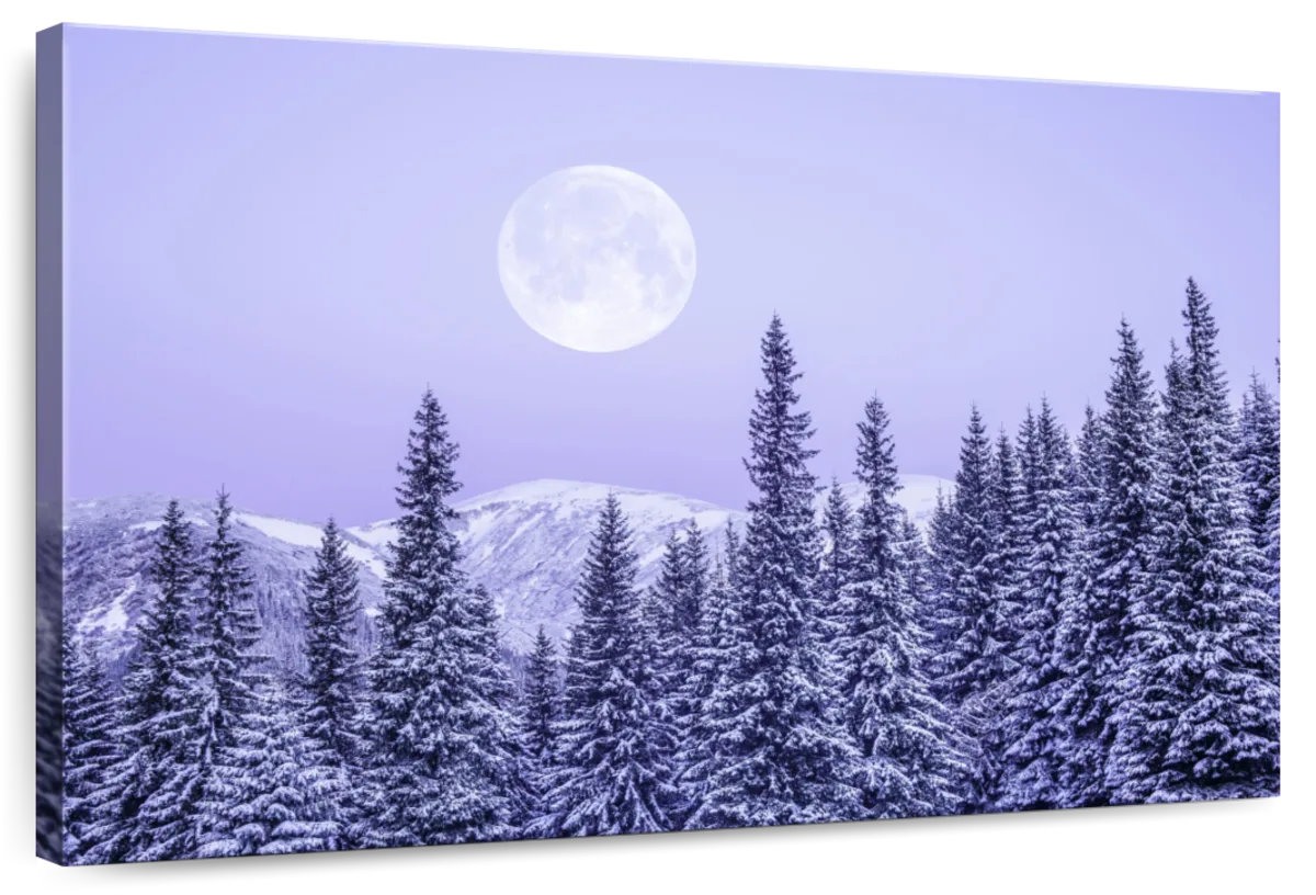 Elephant Stock Winter Moonrise | Wayfair