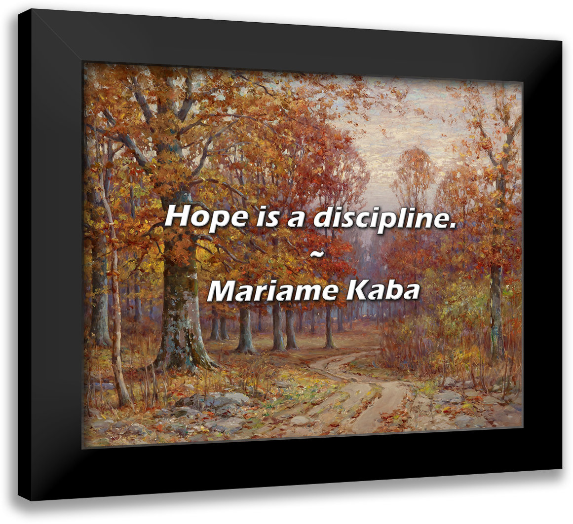 Latitude Run® Mariame Kaba Quote: Hope is a discipline. | Wayfair