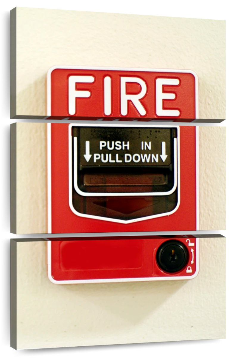 Elephant Stock Fire Alarm | Wayfair