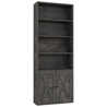 Millwood Pines Manito Bookcase with Door & Reviews | Wayfair