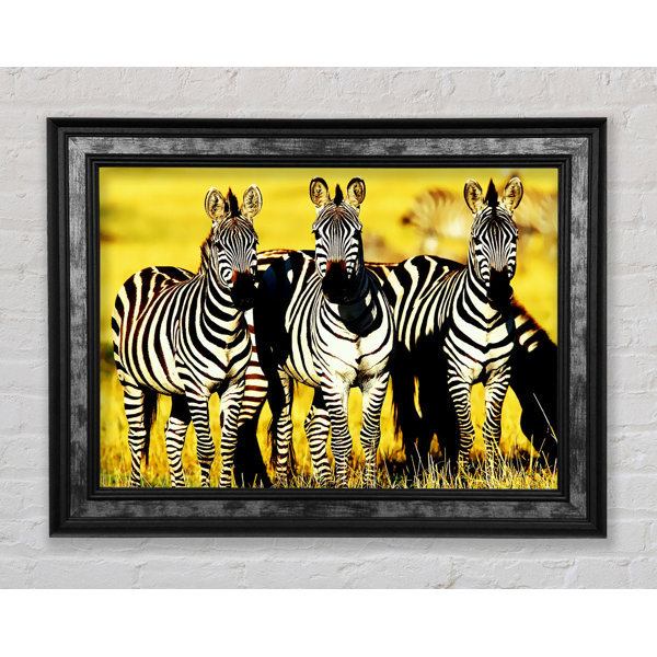 Bright Star Curious Zebras - Single Picture Frame Art Prints | Wayfair ...