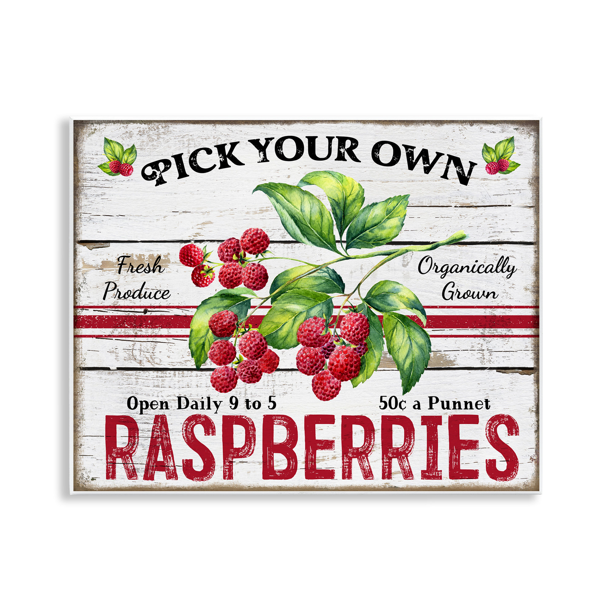 August Grove Pick Your Own Raspberries Wall Plaque Art by Creatif Belle ...