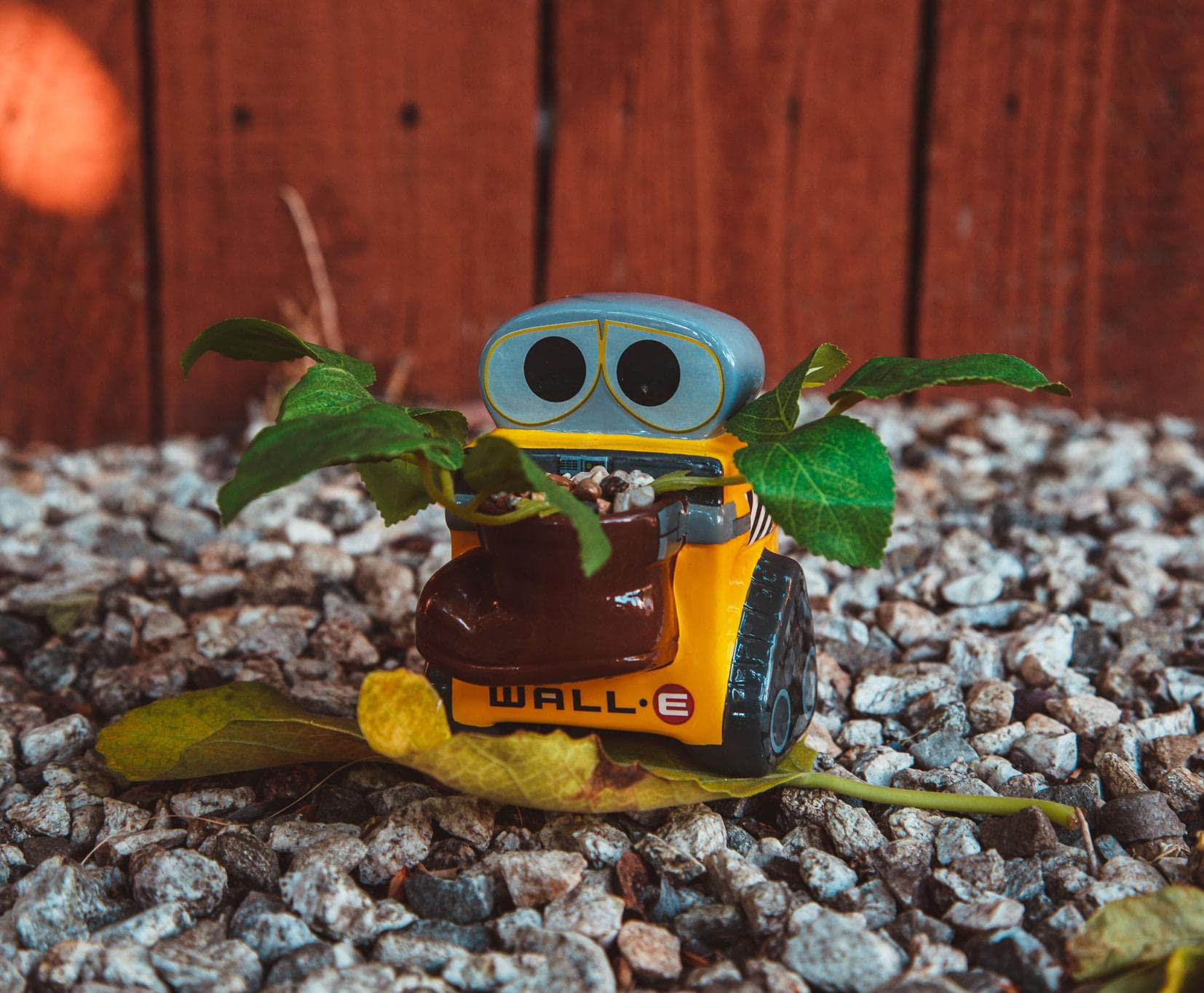 Dakota Fields Disney Pixar Wall-E 4-Inch Ceramic Mini Planter with ...