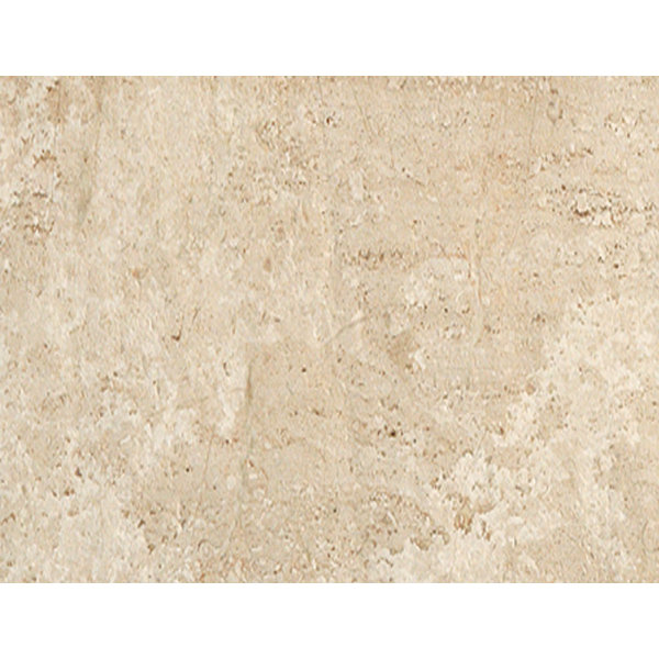 Stone & Tile Shoppe, Inc. 12" x 24" Porcelain Stone Look Wall & Floor ...