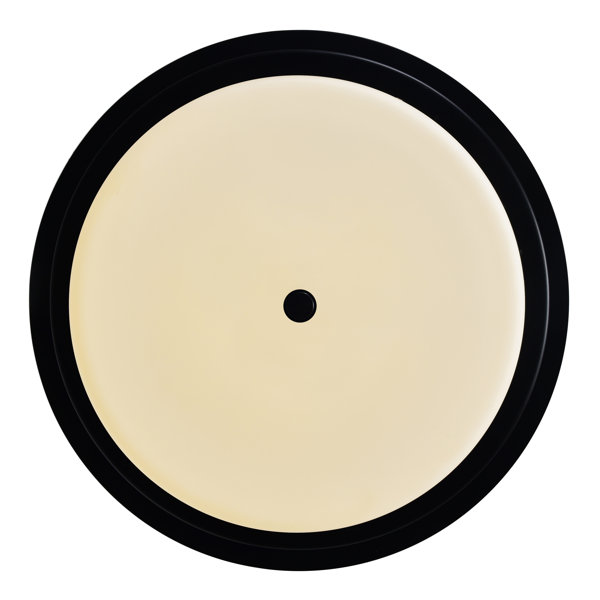 Everly Quinn Shell Flush Mount | Wayfair