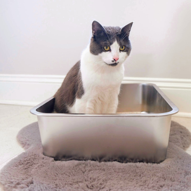 Tucker Murphy Pet™ Koreana Metal Standard Litter Box & Reviews | Wayfair
