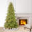 Ophelia & Co. 7.5' Pre-lit Yellow/Green PE/PVC Index Tree - Wayfair Canada