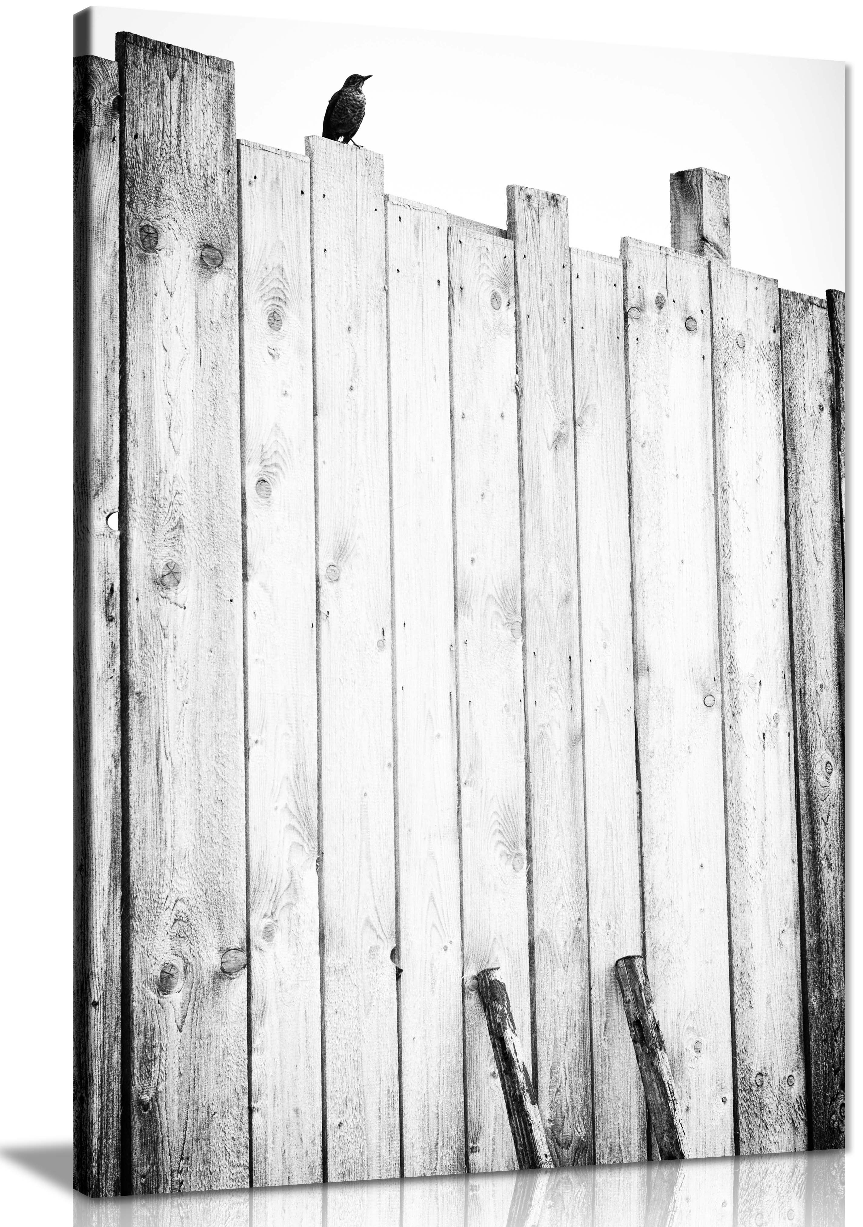Panther Print Fine Art Prints Black & White Lonely Raven Wall Artistic ...