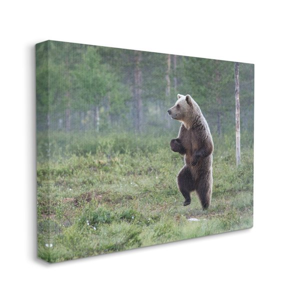Millwood Pines Dancing Bear In Forest On Canvas by Alex Jevon Print ...