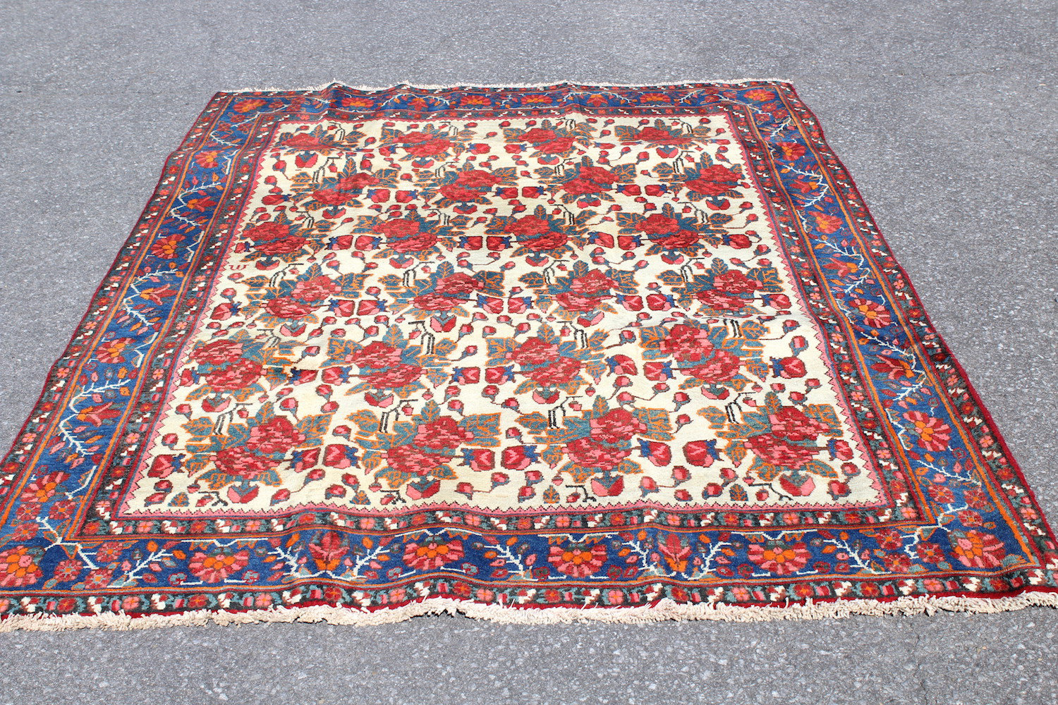 Canora Grey Darshanna Cream Floral 5X8 Vintage Rug Blue Border | Wayfair