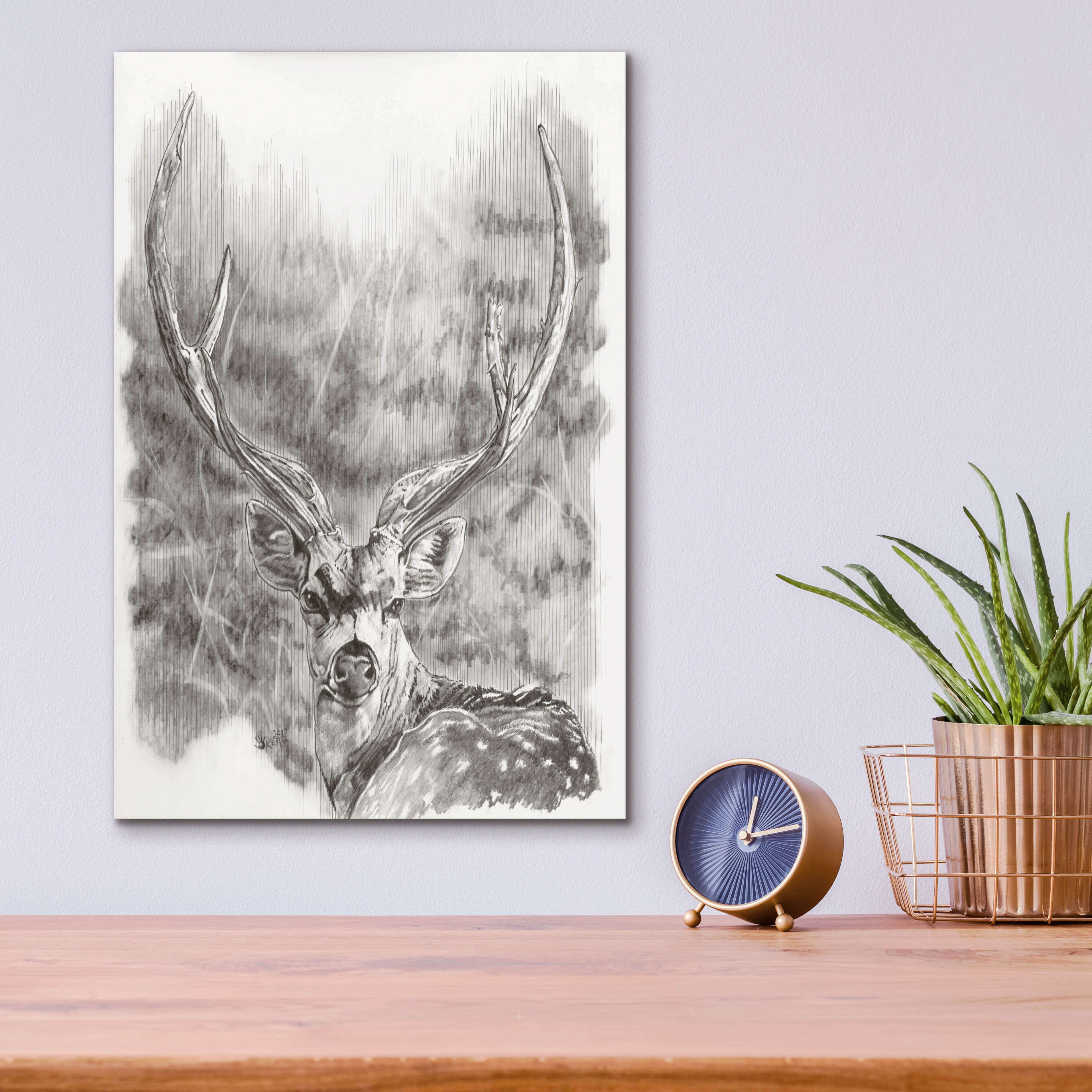 Millwood Pines Chital Deer by Barbara Keith - Unframed Print - Wayfair ...