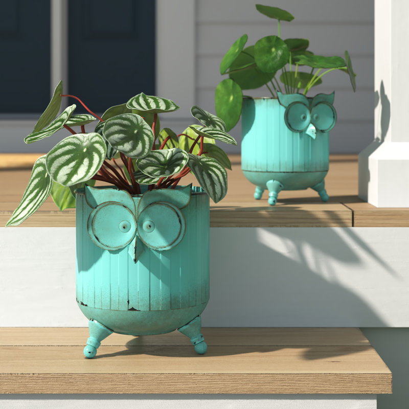 Sol 72 Outdoor™ Cloninger Owl 2 Piece Indoor/Outdoor Pot Planter Set ...