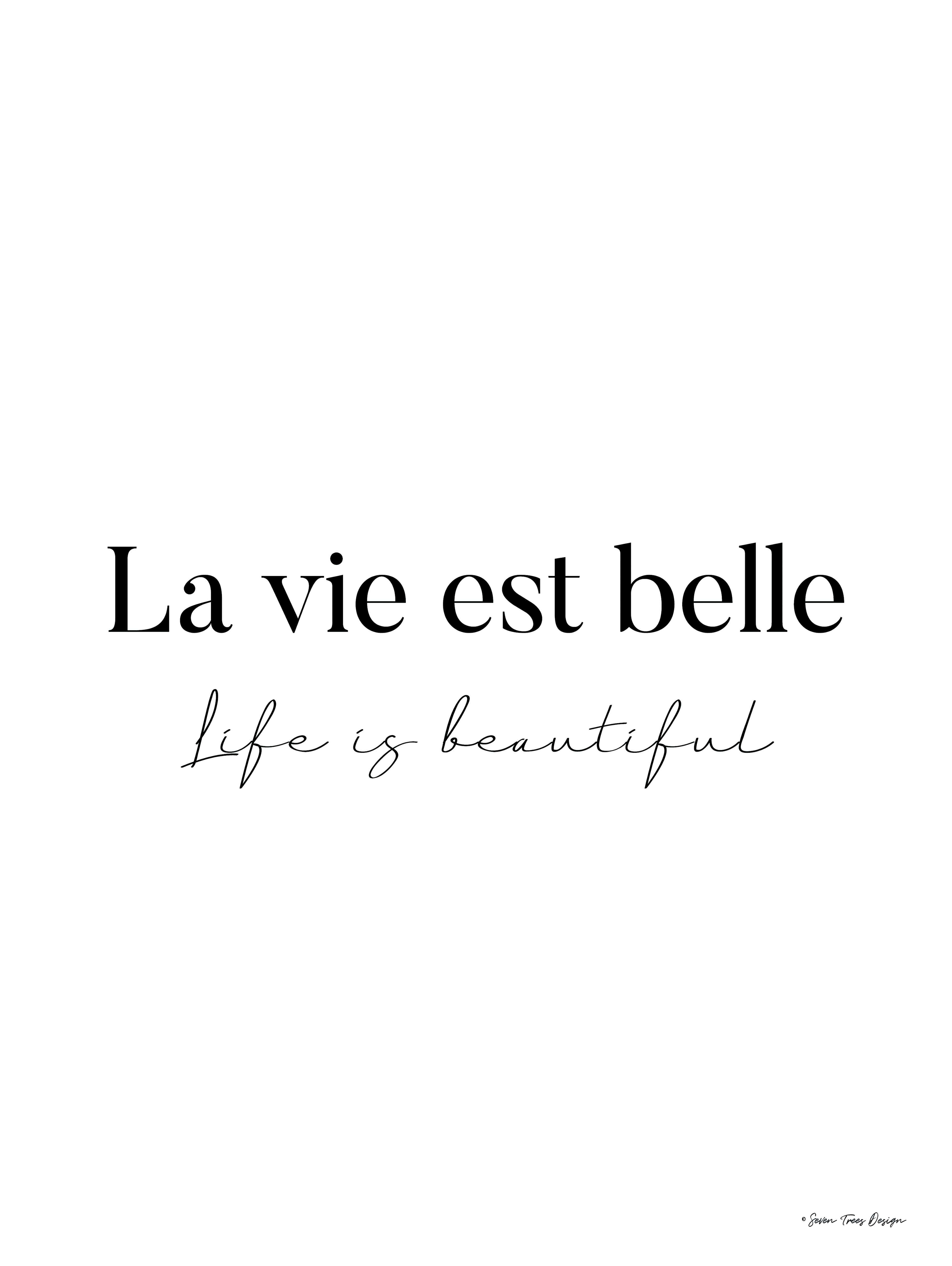Trinx Life Is Beautiful in French - Wrapped Canvas Print | Wayfair