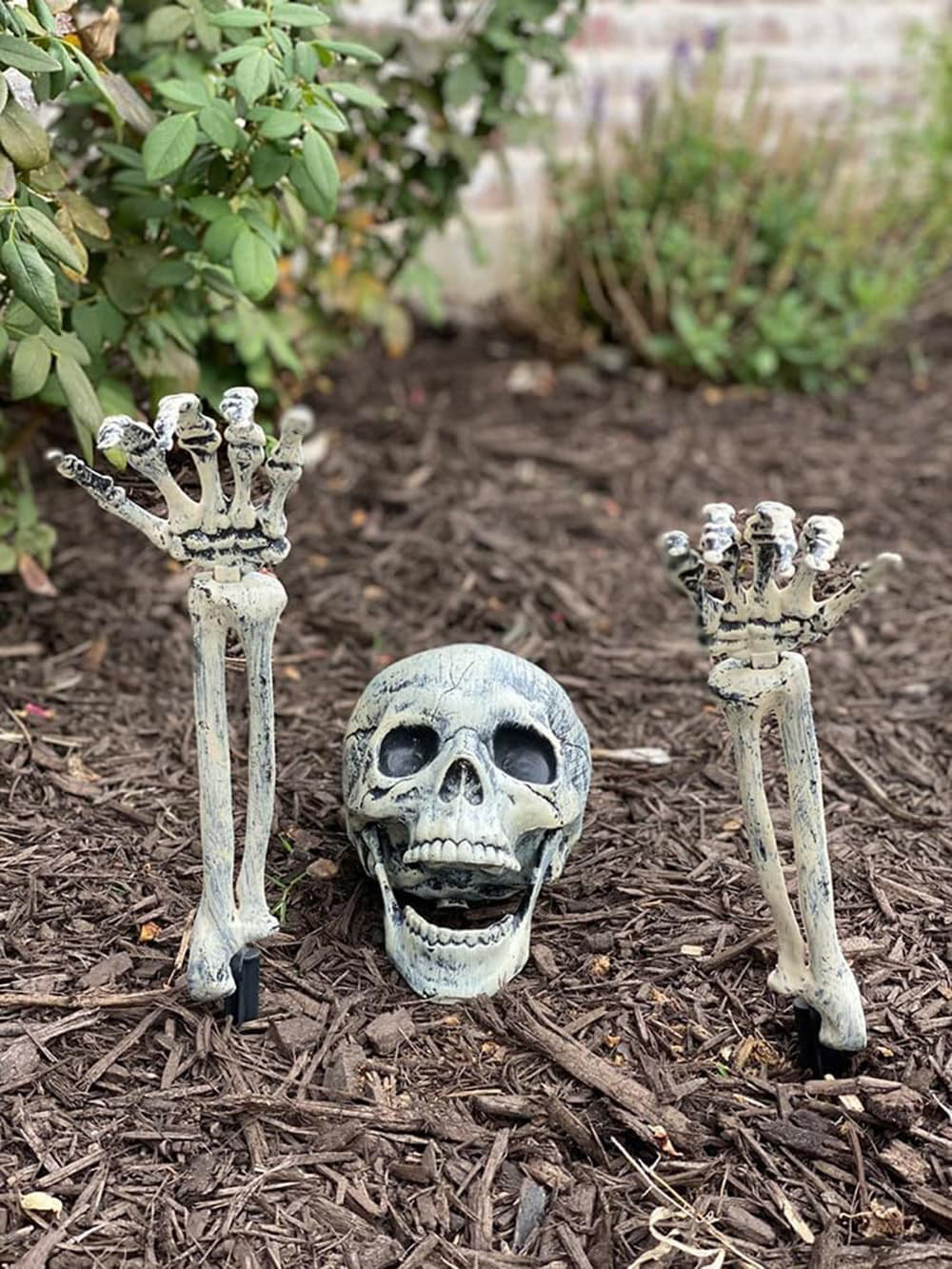 Ivy Bronx Realistic Skeleton Stakes Halloween Outdoor Decorations | Wayfair