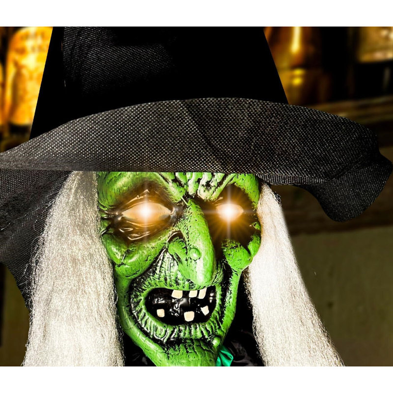 The Holiday Aisle® The Farm Animatronic Scary Witch Door Greeter with ...