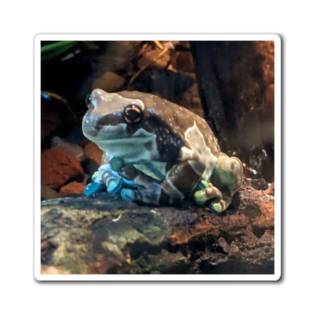 East Urban Home Toad Magnet | Wayfair