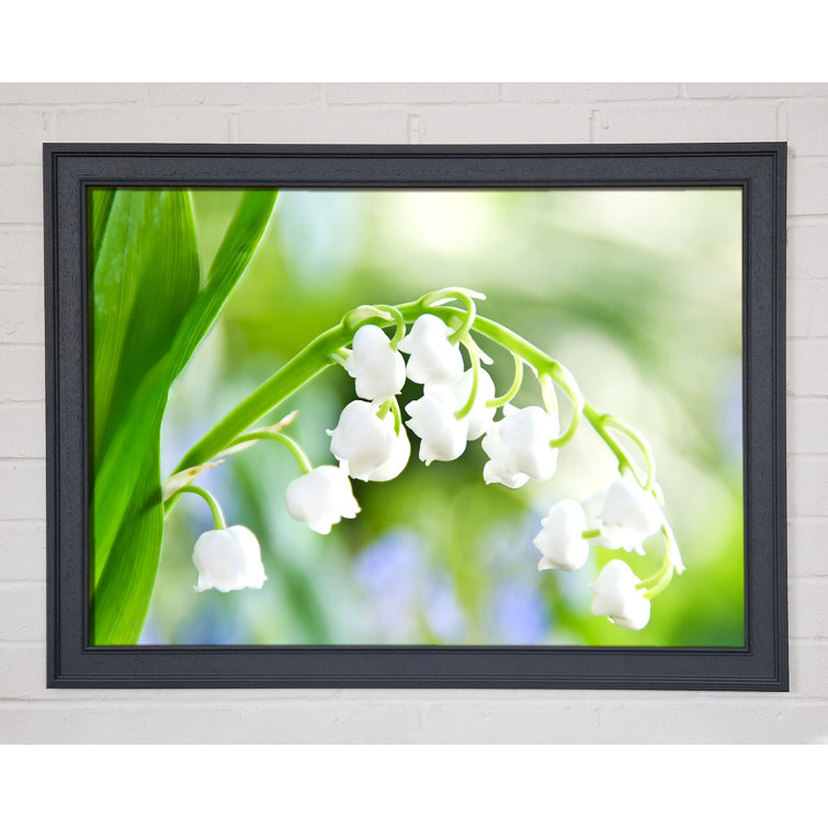 Ebern Designs Lily Of The Valley - Single Picture Frame Art Prints ...