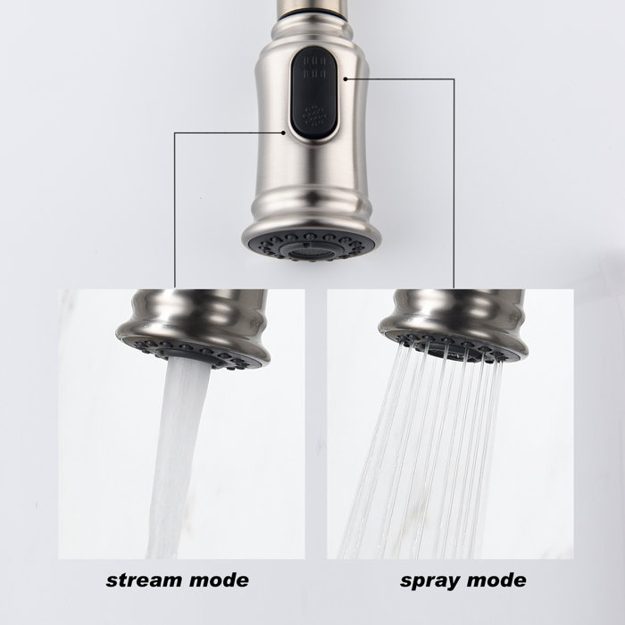 Dilon Pull Down Kitchen Faucet & Reviews | Wayfair