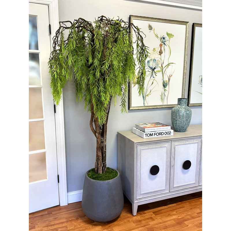 Creative Displays, Inc. 6.5' Weeping Willow Tree with Moss in ...