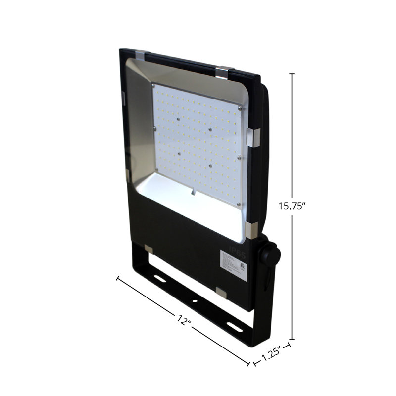 TotalLEDS Flood Light 100 Watt 50K, Black | Wayfair