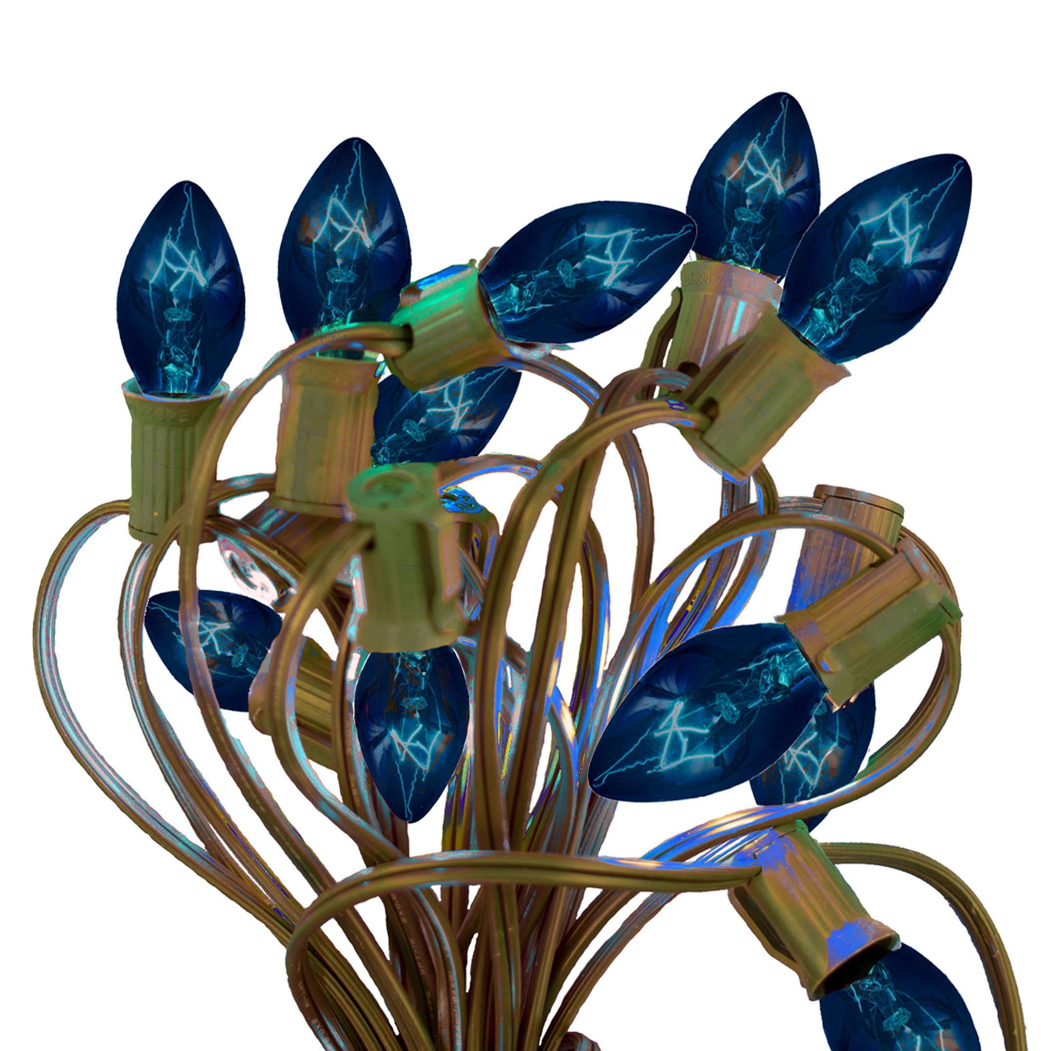 The Holiday Aisle® 25 Light String Lighting & Reviews | Wayfair