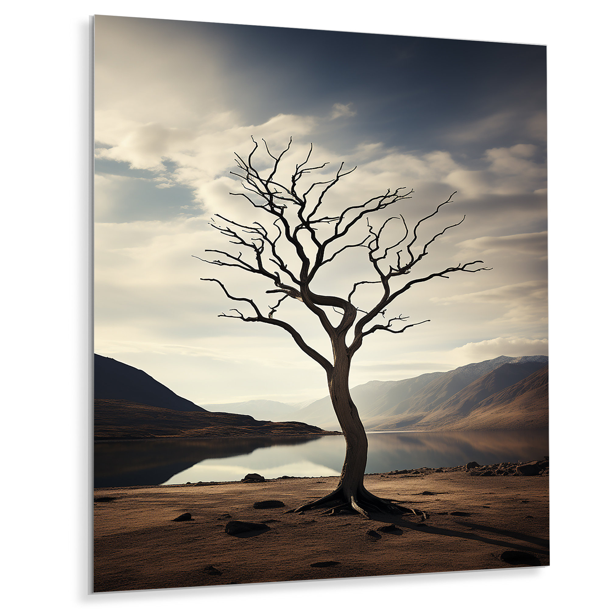 Millwood Pines Desert Serenity In Solitude II - Desert Metal Wall Art ...