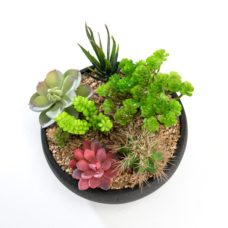 Dakota Fields Caaliyah Ceramic Pot Planter | Wayfair