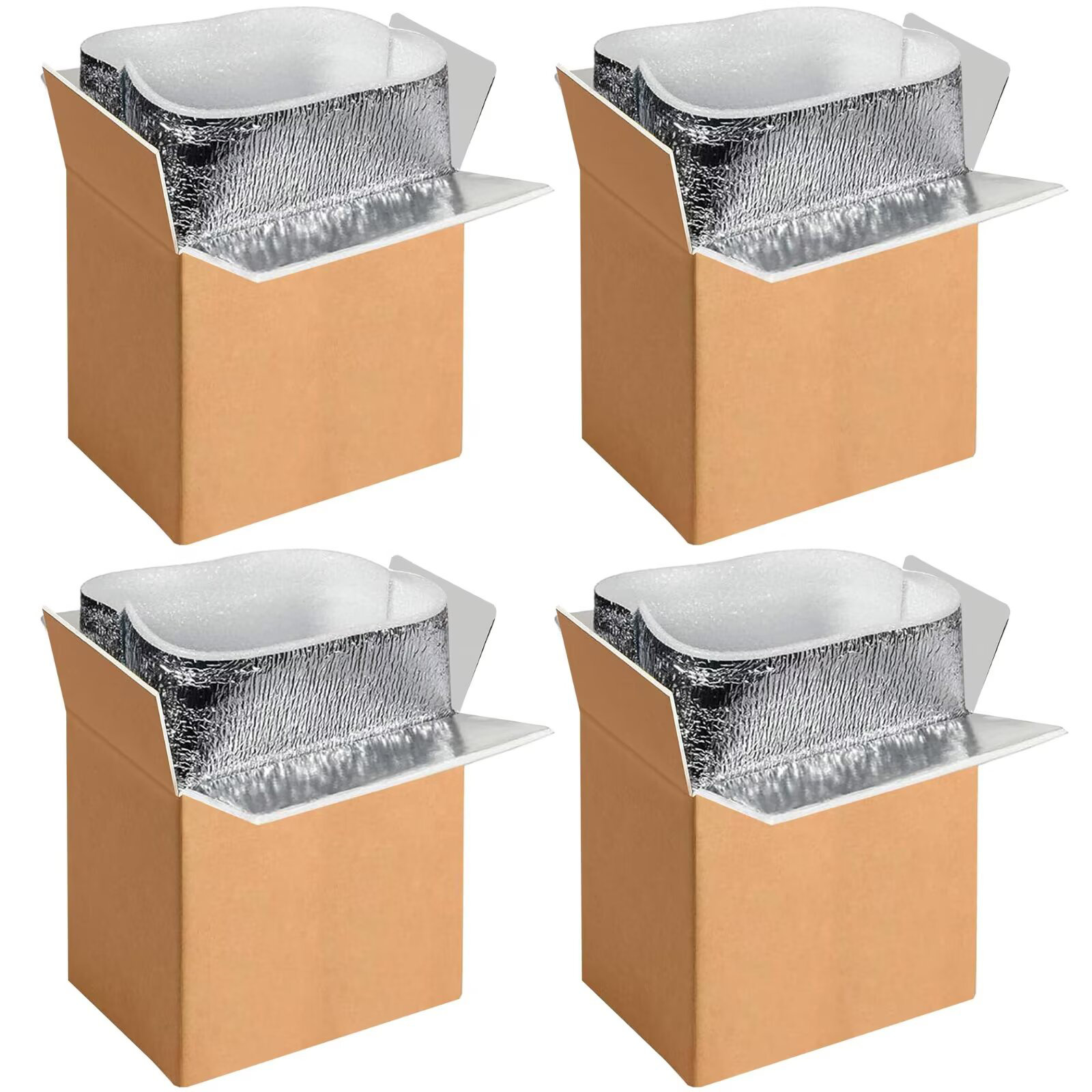 17 Stories 4 Pack 6 Inch x5 Inch Insulated Shipping Boxes with Aluminum ...