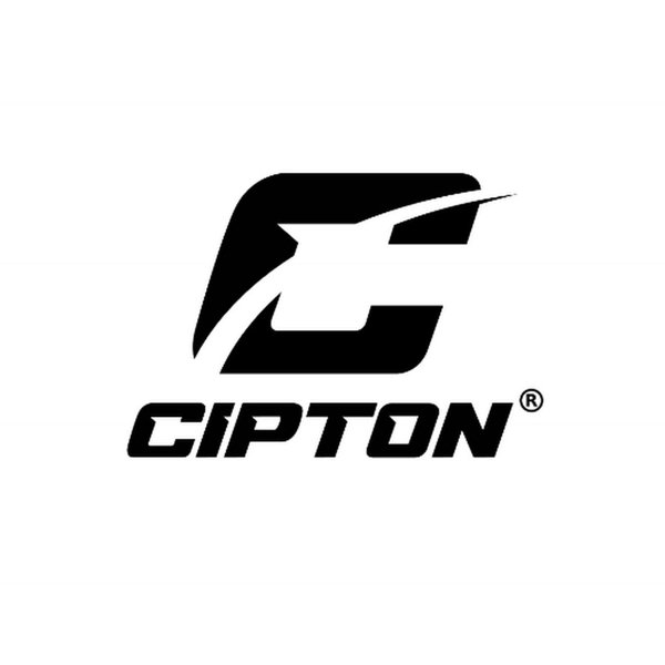 Cipton | Wayfair