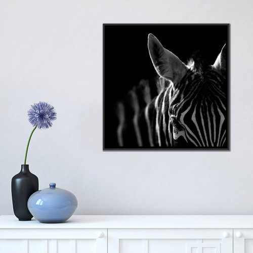Bless international 'Zebra IV' Photographic Print on Canvas | Wayfair