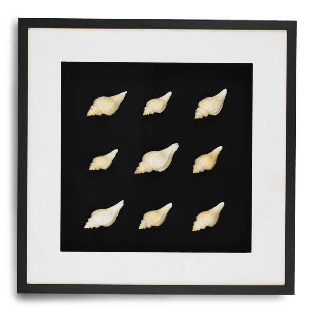 Zentique Abstract Shell Art Framed On Paper Print | Wayfair